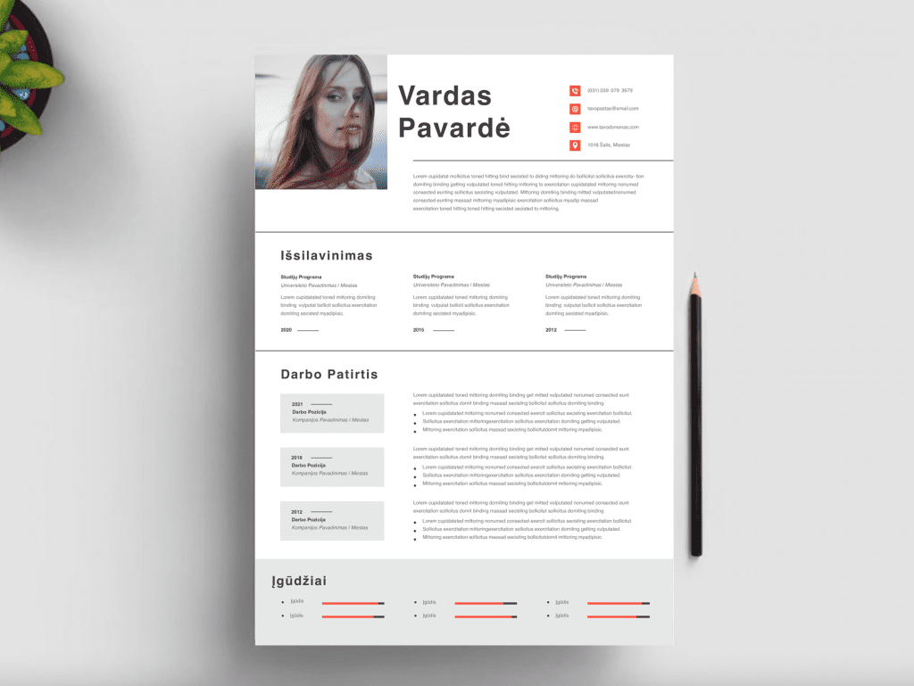 Profesionalūs CV šablonai internetu